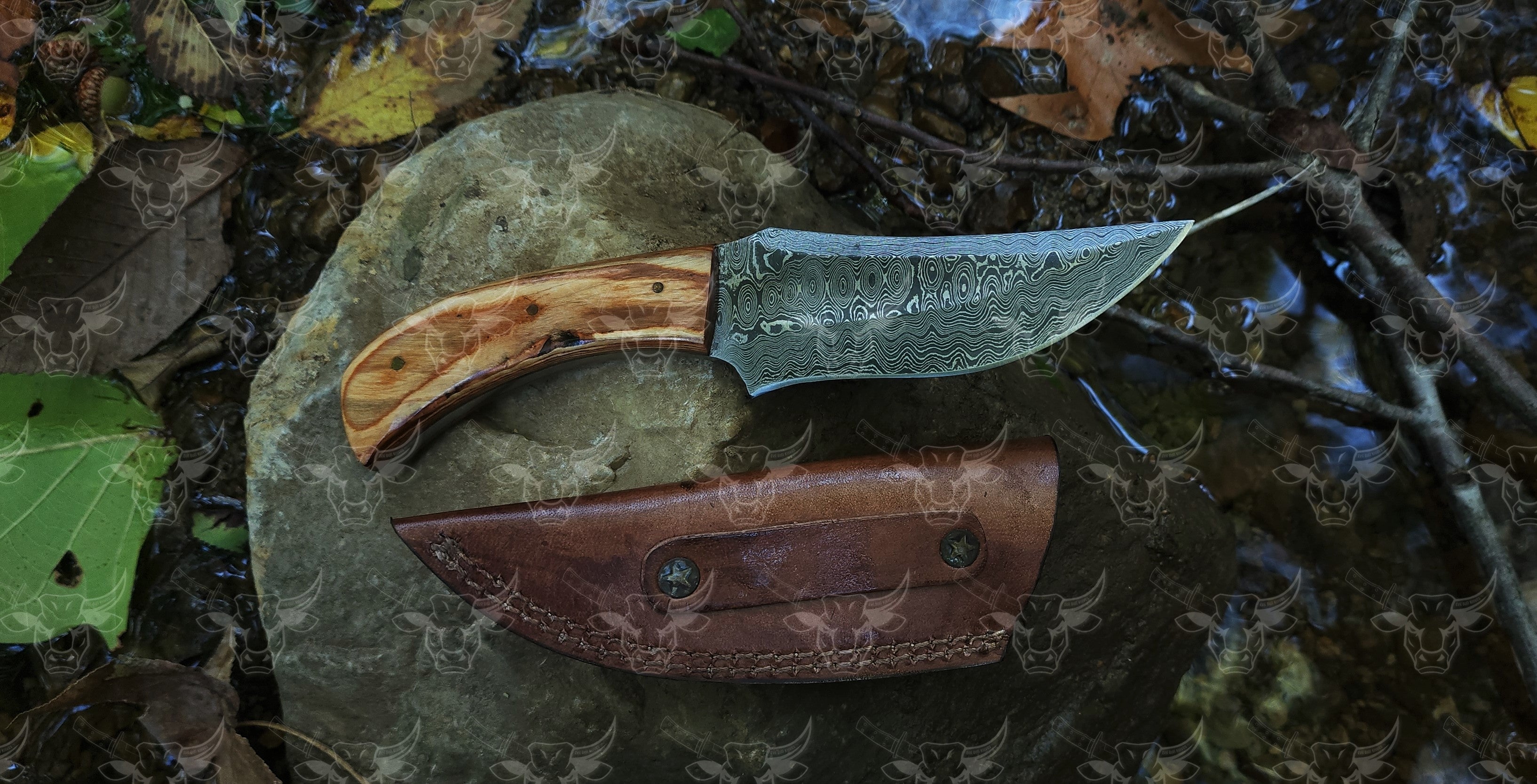 EBK-09 Damascus steel knife Olive wood handle damascus – Evilbullknives