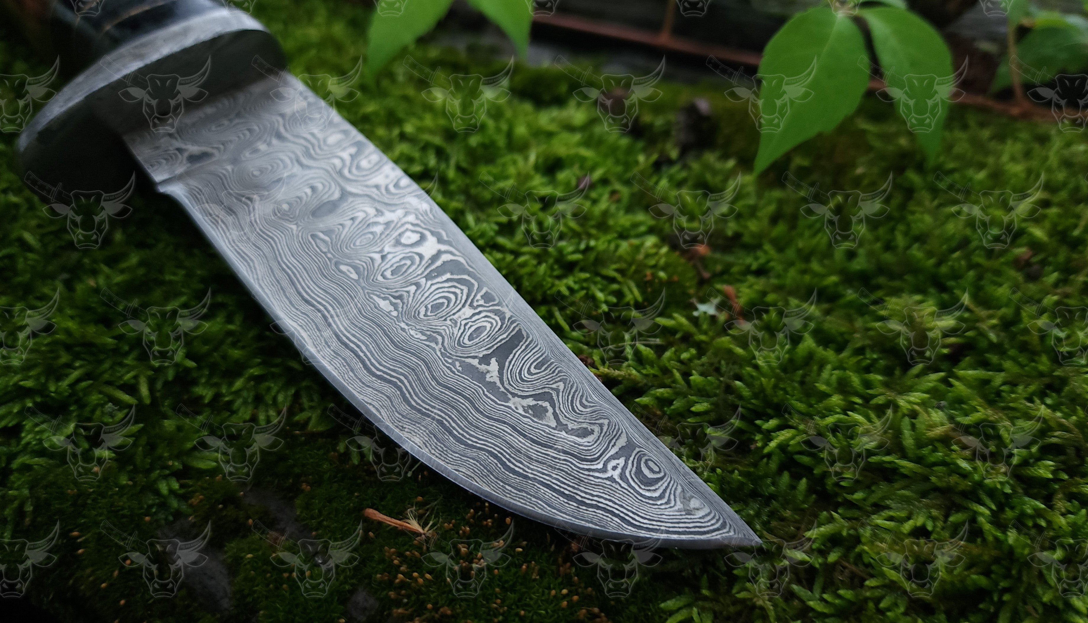 Evil Bull Knives® is a product of years’ worth of professional work ...