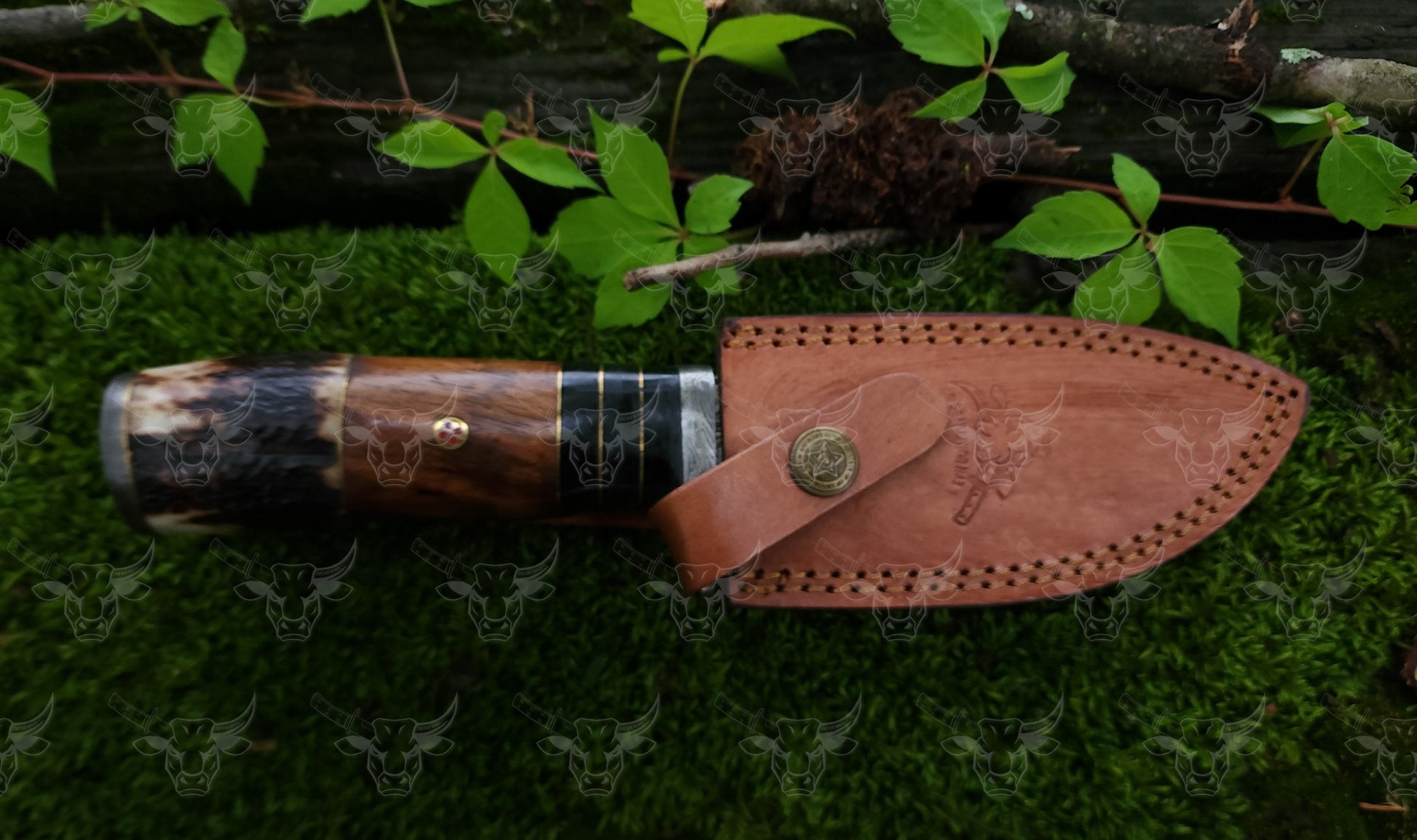 EBK-13 Best Seller Damascus hunting knife, Travelling knife, Camping k ...